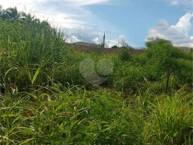 Terreno / Lote para Venda em São Paulo/SP Vila Guilherme