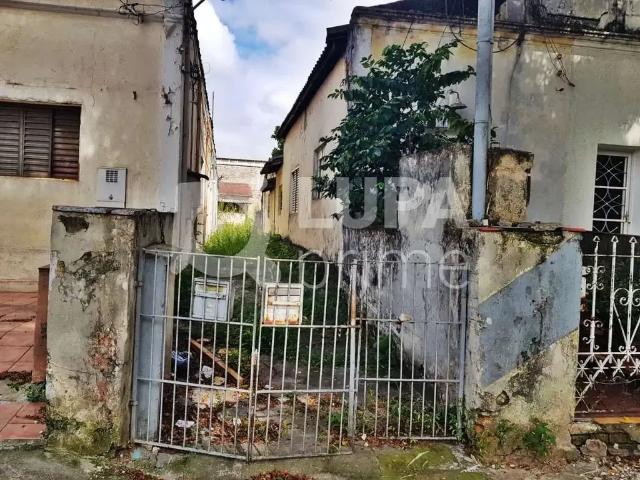 Terreno / Lote para Venda em São Paulo/SP Vila Guilherme