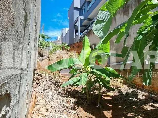 Terreno / Lote para Venda em São Paulo/SP Vila Guilherme