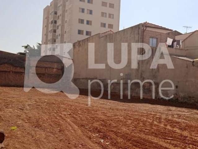 Terreno / Lote para Venda em São Paulo/SP Vila Guilherme