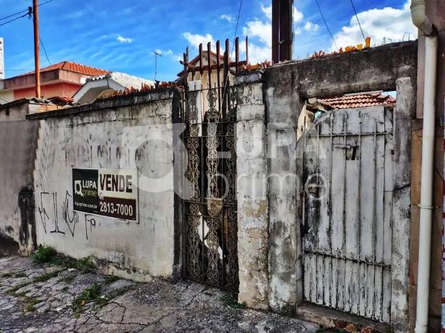 Terreno / Lote para Venda em São Paulo/SP Vila Guilherme