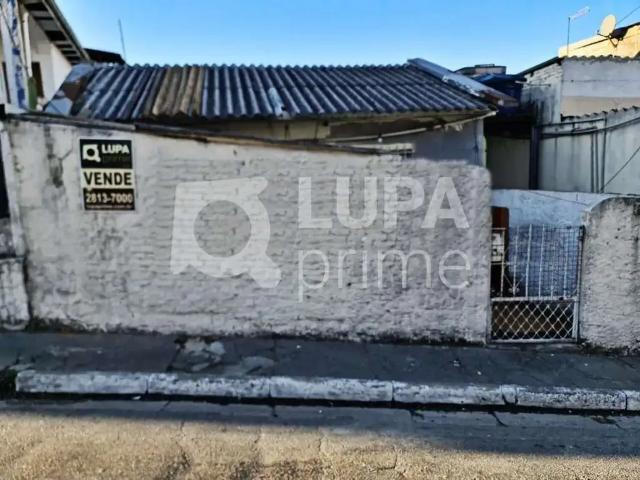 Terreno / Lote para Venda em São Paulo/SP Vila Guilherme