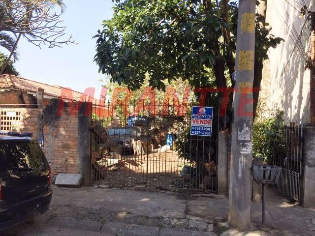 Terreno / Lote para Venda em São Paulo/SP Vila Guilherme