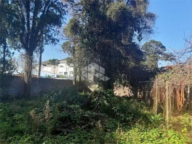 Terreno / Lote para Venda em São Paulo/SP Vila Gustavo