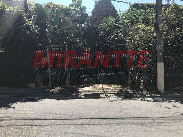 Terreno / Lote para Venda em São Paulo/SP Vila Gustavo
