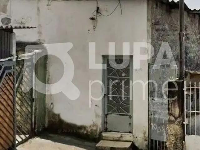 Terreno / Lote para Venda em São Paulo/SP Vila Gustavo