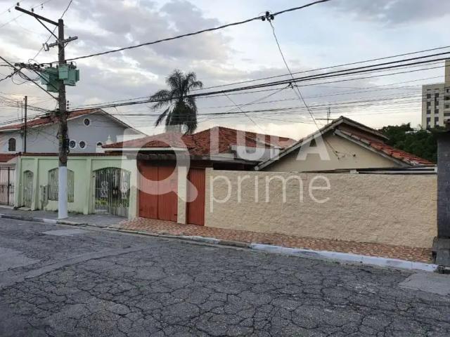 Terreno / Lote para Venda em São Paulo/SP Vila Gustavo