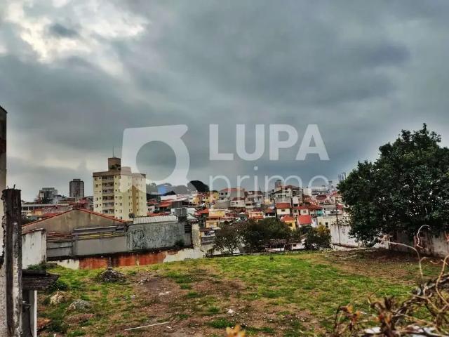 Terreno / Lote para Venda em São Paulo/SP Vila Gustavo
