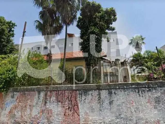 Terreno / Lote para Venda em São Paulo/SP Vila Gustavo