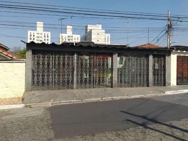 Terreno / Lote para Venda em São Paulo/SP Vila Gustavo