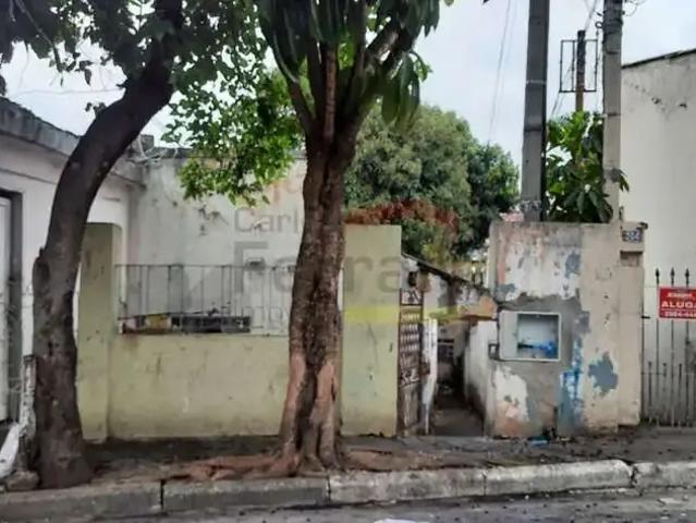 Terreno / Lote para Venda em São Paulo/SP Vila Gustavo
