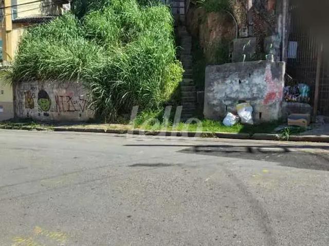Terreno / Lote para Venda em São Paulo/SP Vila Gustavo