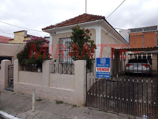 Terreno / Lote para Venda em São Paulo/SP Vila Gustavo