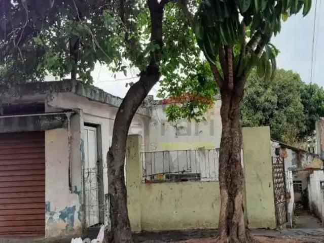 Terreno / Lote para Venda em São Paulo/SP Vila Gustavo