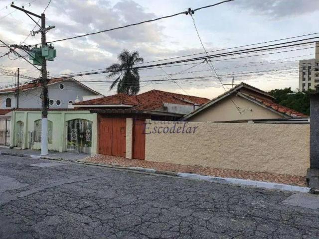 Terreno / Lote para Venda em São Paulo/SP Vila Gustavo