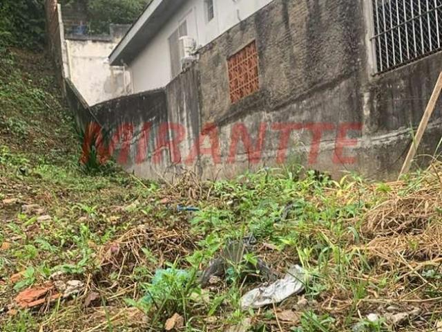 Terreno / Lote para Venda em São Paulo/SP Vila Gustavo
