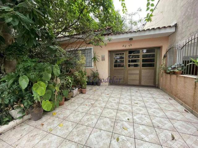 Terreno / Lote para Venda em São Paulo/SP Vila Gustavo