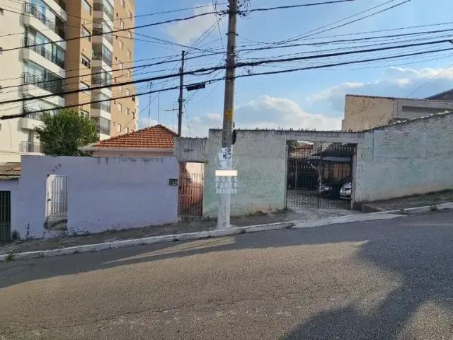 Terreno / Lote para Venda em São Paulo/SP Vila Gustavo