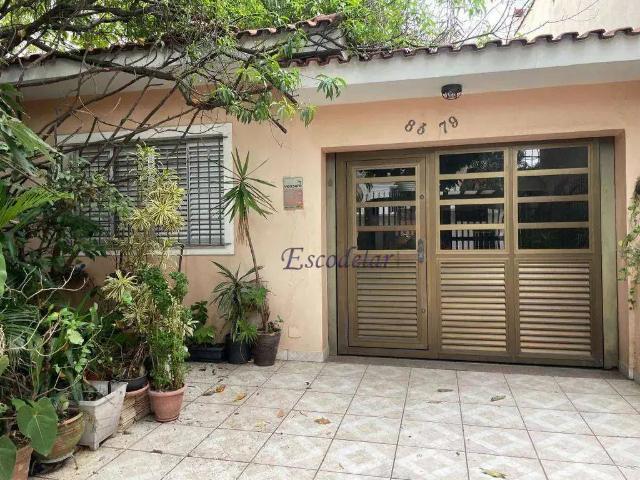 Terreno / Lote para Venda em São Paulo/SP Vila Gustavo
