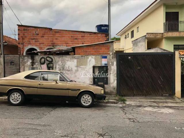 Terreno / Lote para Venda em São Paulo/SP Vila Gustavo