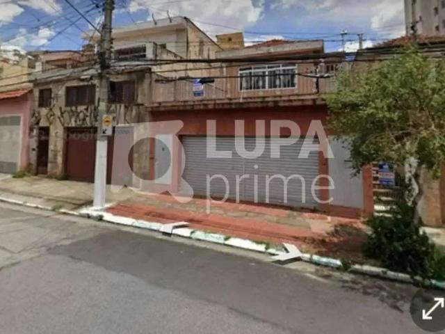Terreno / Lote para Venda em São Paulo/SP Vila Gustavo