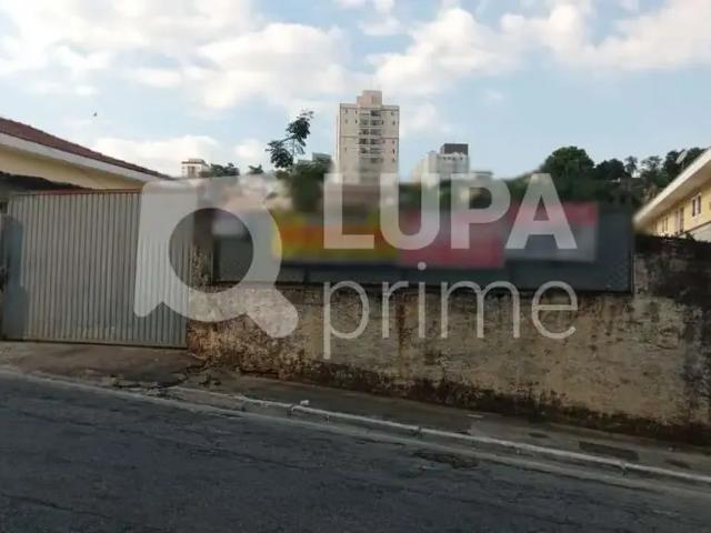 Terreno / Lote para Venda em São Paulo/SP Vila Gustavo