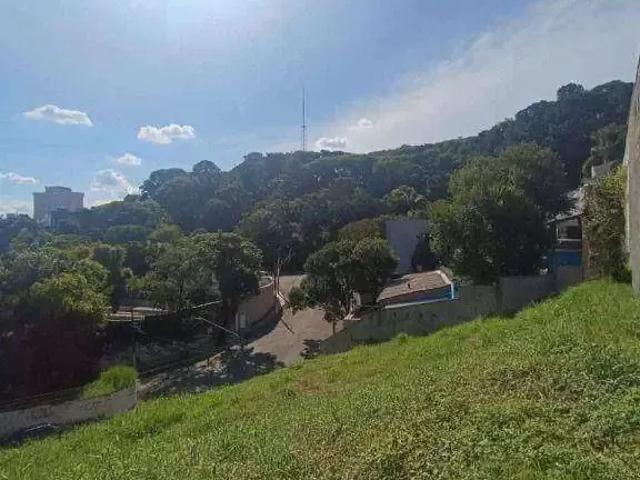 Terreno / Lote para Venda em São Paulo/SP Vila Ida