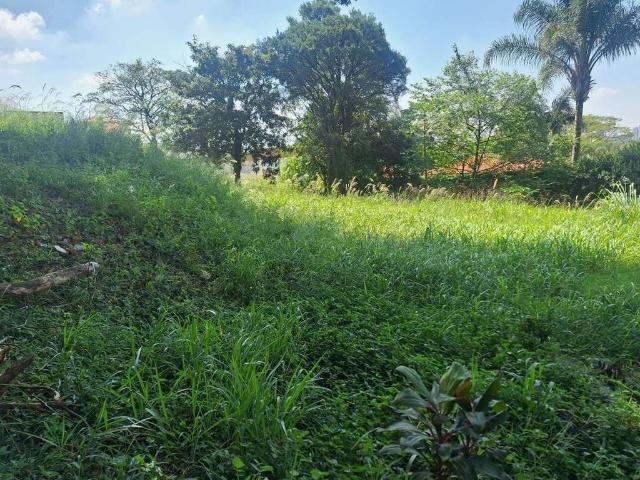 Terreno / Lote para Venda em São Paulo/SP Vila Inah