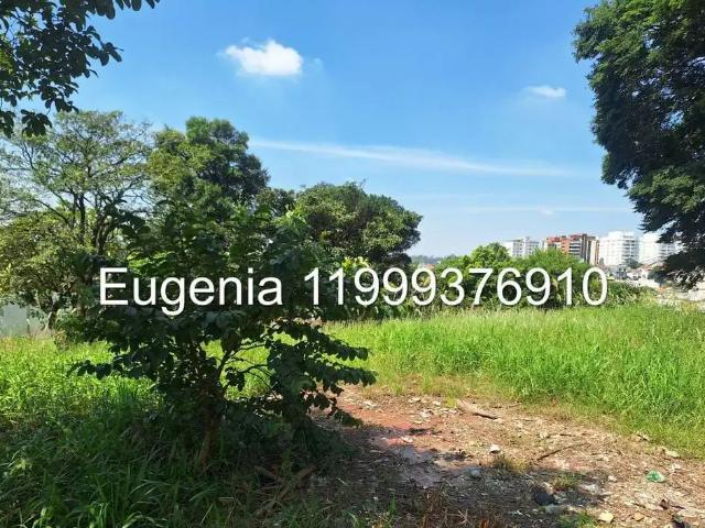 Terreno / Lote para Venda em São Paulo/SP Vila Inah