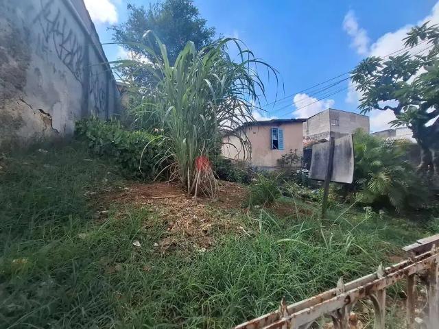 Terreno / Lote para Venda em São Paulo/SP Vila Invernada