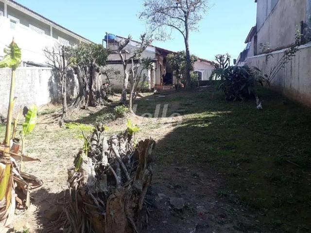 Terreno / Lote para Venda em São Paulo/SP Vila Irmãos Arnoni