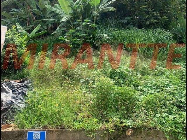 Terreno / Lote para Venda em São Paulo/SP Vila Irmãos Arnoni