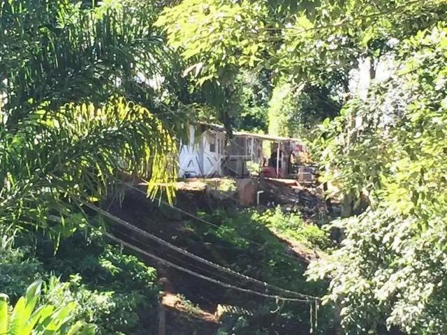 Terreno / Lote para Venda em São Paulo/SP Vila Irmãos Arnoni