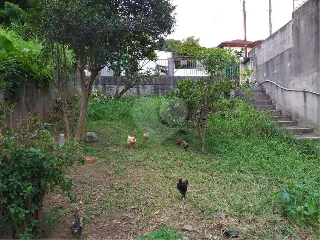 Terreno / Lote para Venda em São Paulo/SP Vila Irmãos Arnoni