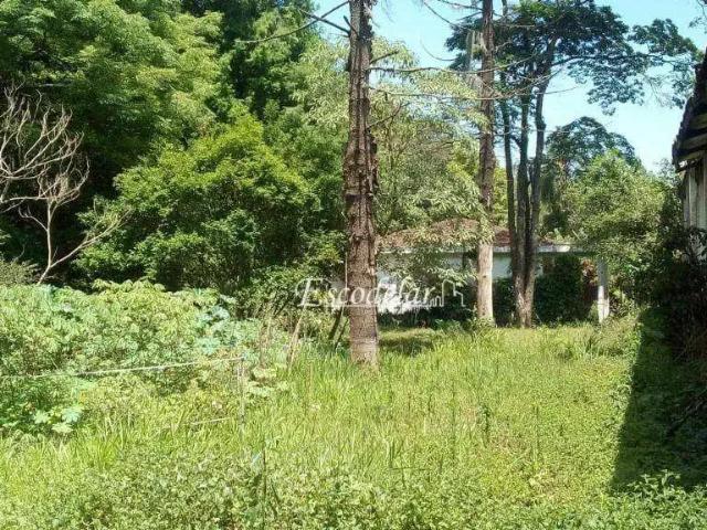 Terreno / Lote para Venda em São Paulo/SP Vila Irmãos Arnoni