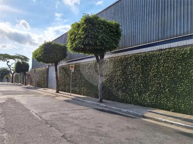 Terreno / Lote para Venda em São Paulo/SP Vila Isa