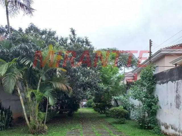 Terreno / Lote para Venda em São Paulo/SP Vila Isolina Mazzei