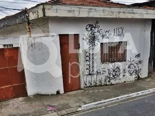 Terreno / Lote para Venda em São Paulo/SP Vila Isolina Mazzei