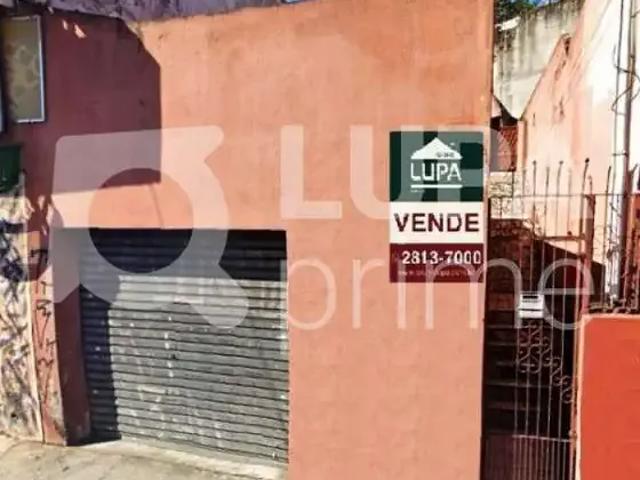 Terreno / Lote para Venda em São Paulo/SP Vila Isolina Mazzei