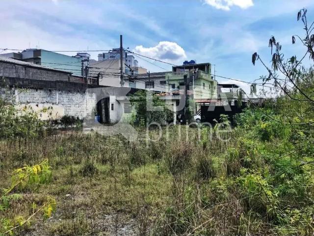Terreno / Lote para Venda em São Paulo/SP Vila Isolina Mazzei