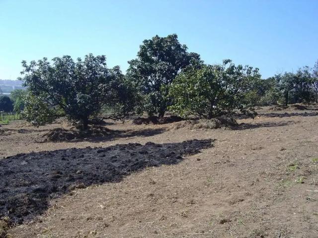 Terreno / Lote para Venda em São Paulo/SP Vila Jacuí