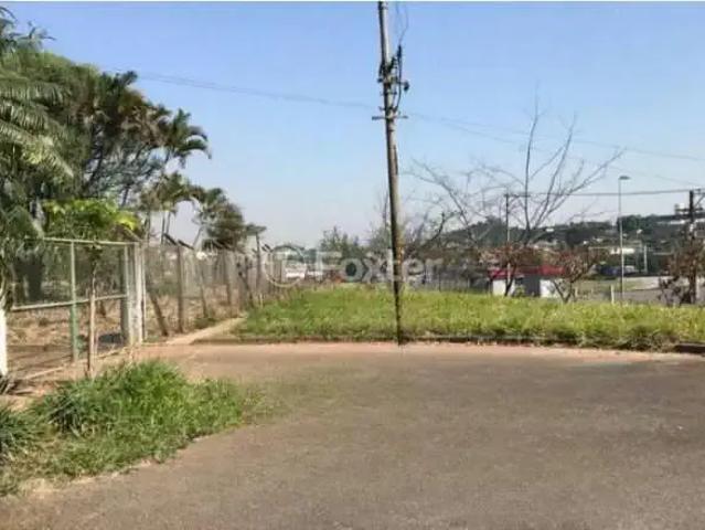 Terreno / Lote para Venda em São Paulo/SP Vila Jaguara