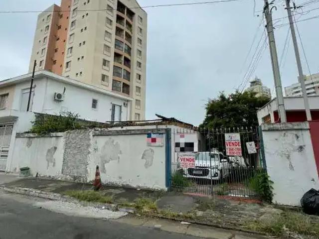 Terreno / Lote para Venda em São Paulo/SP Vila Lageado