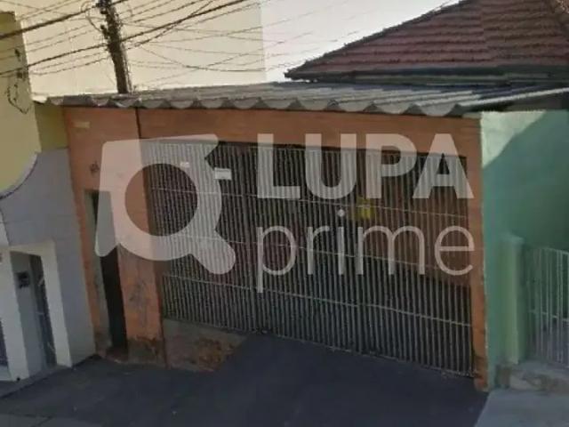 Terreno / Lote para Venda em São Paulo/SP Vila Leonor
