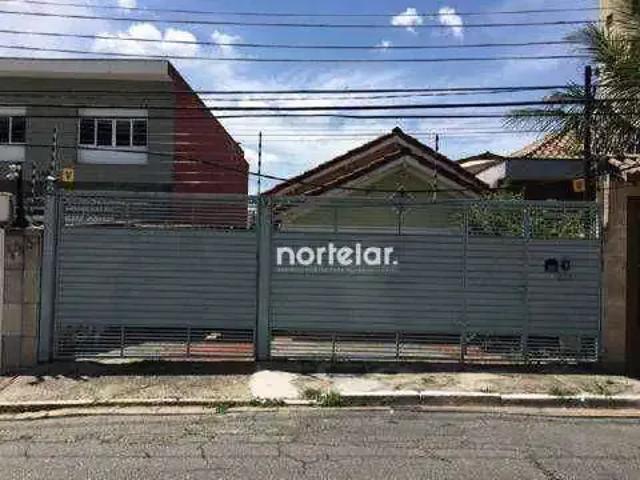 Terreno / Lote para Venda em São Paulo/SP Vila Palmeiras