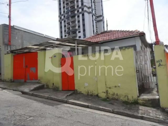 Terreno / Lote para Venda em São Paulo/SP Vila Paulicéia