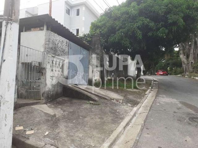 Terreno / Lote para Venda em São Paulo/SP Vila Paulicéia