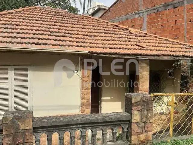 Terreno / Lote para Venda em São Paulo/SP Vila Paulicéia