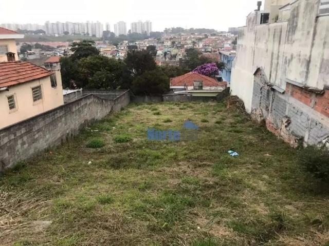 Terreno / Lote para Venda em São Paulo/SP Vila Pereira Barreto
