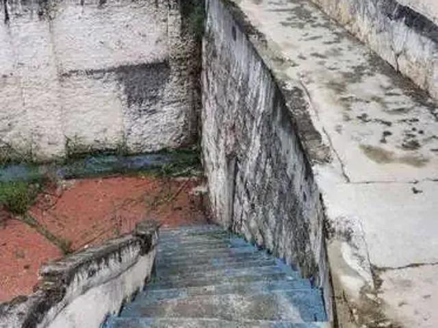 Terreno / Lote para Venda em São Paulo/SP Vila Pirituba